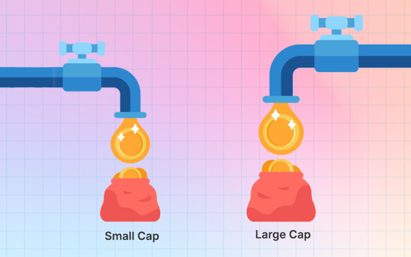 What is Small Cap Fund: Meaning, Investment Profile & Features