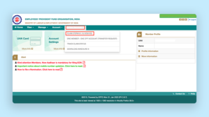 EPF Form 19: Steps to Fill Form 19 for PF Withdrawal in 2024