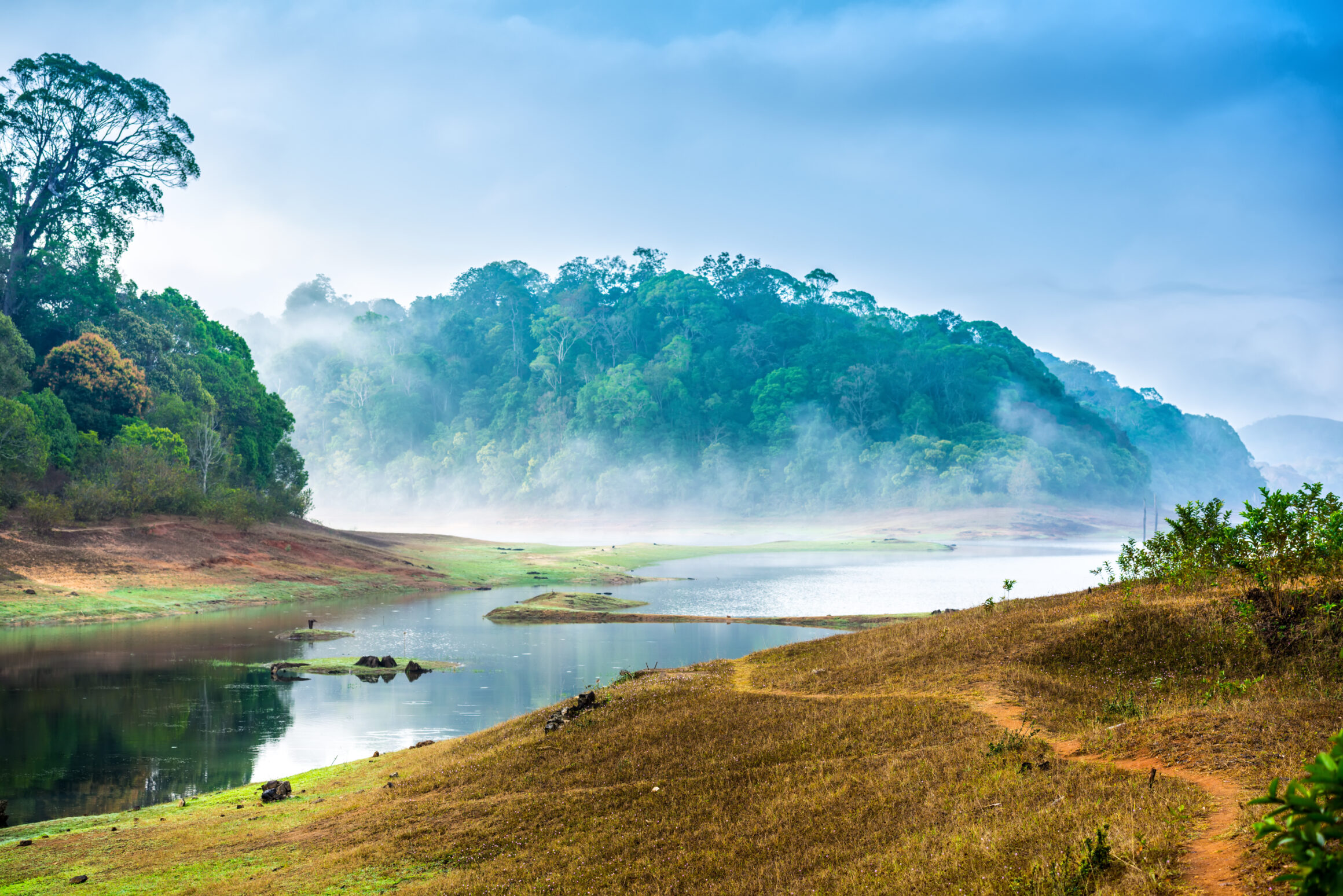 The Best of Kochi: Places You Can't Miss - PaytmTravelBlog